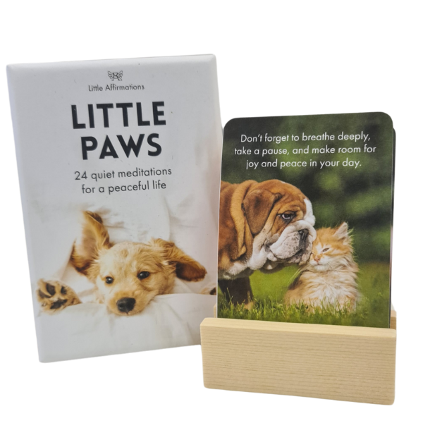 Little Paws Affirmation Cards - Citywide Florist Christchurch