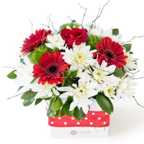Jolly Time Flower Pot– Citywide Florist Christchurch