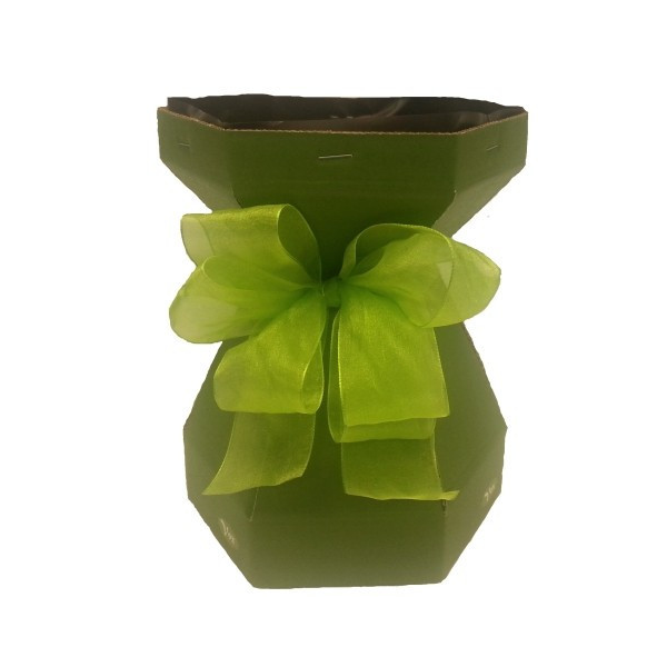 Flowers in Water Boxes Delivered in Christchurch - Citywide Florist ...